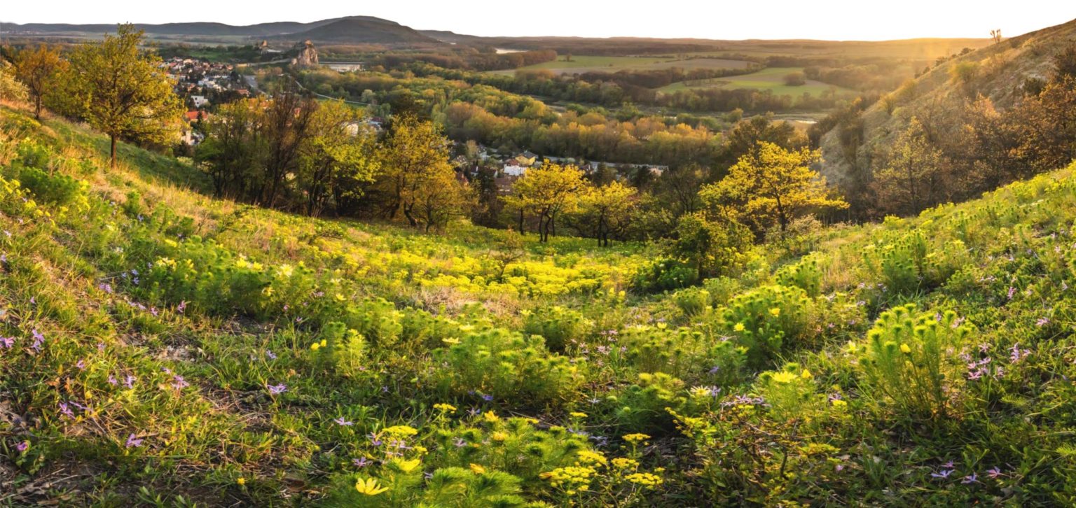 Geopark Malé Karpaty